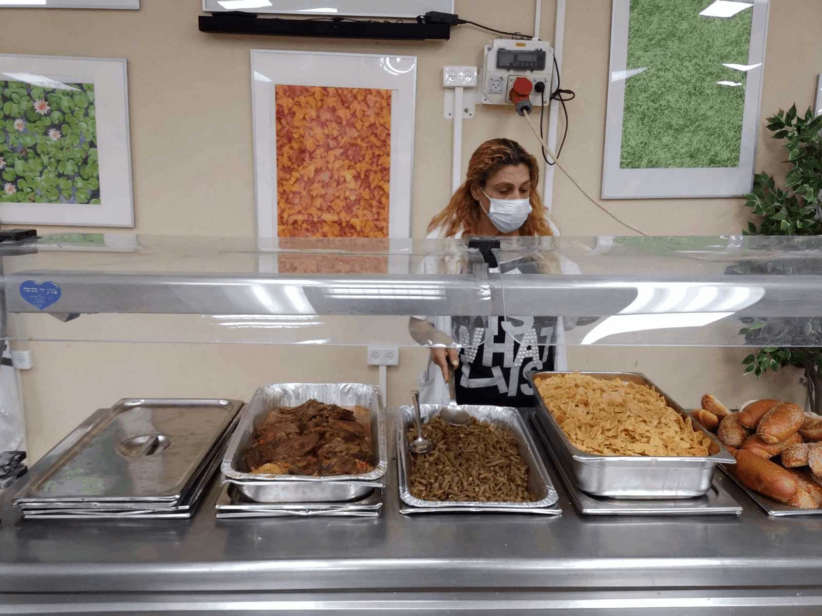 Back to normal - Meir Panim